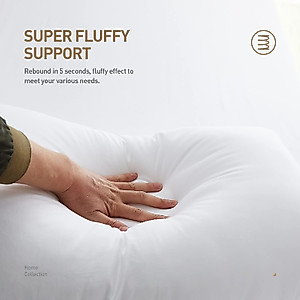 Acanva Premium Polyester Stuffer Square Form Sham Throw Pillow Inserts, 22 in（2 Count）, White