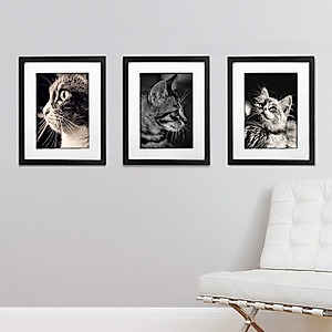 Betus 11x14 Picture Frame for Pictures 8x10 inch with Mat or 11x14 without Mat - Arts, Paintings and Pictures Display Frames - Wall Mounting Tools Included - Black