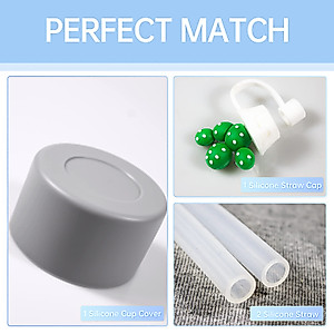 4 PCS Replacement Silicone Straws for Stanley Adventure Quencher Travel Tumbler 40oz Stanley Cup,2 Reusable Clear Straws with 1 Protective Silicone Boot and 12mm Straw Cover