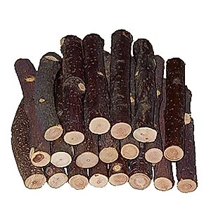 FarmerDavePetSupply 20 Apple CHEW Branches for Small Animals