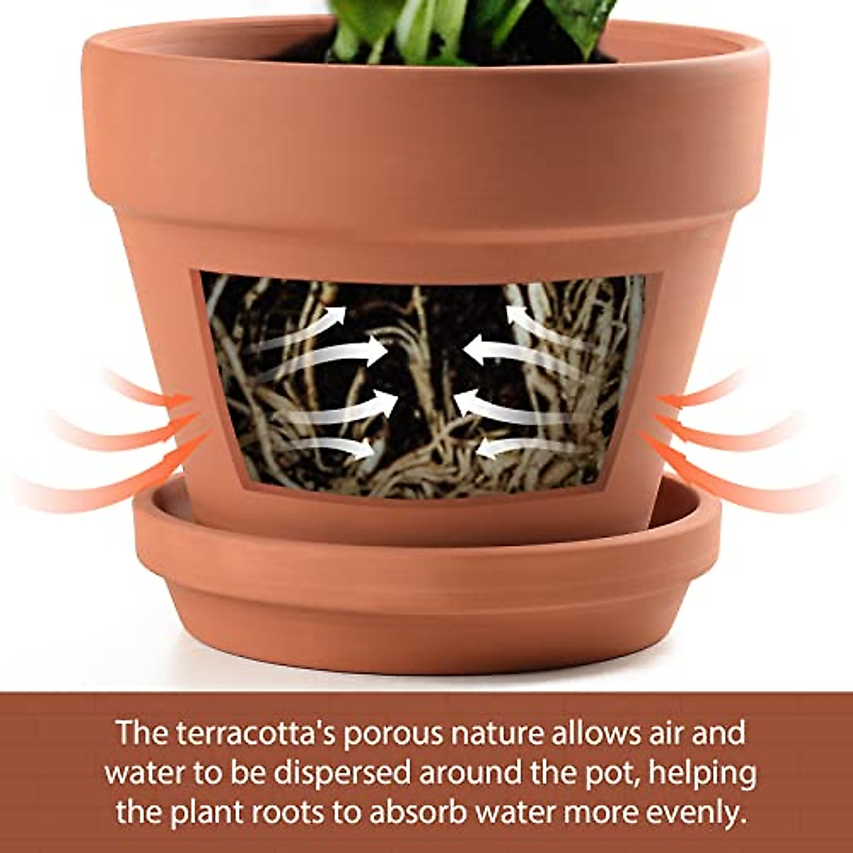 INGOFIN Terracotta Pots Set with Saucer - 5/6/7 inch Ceramic Clay Planters with Drainage Hole, Garden Flower Succulent Pots with Tray for Indoor Outdoor Plants, Set of 3