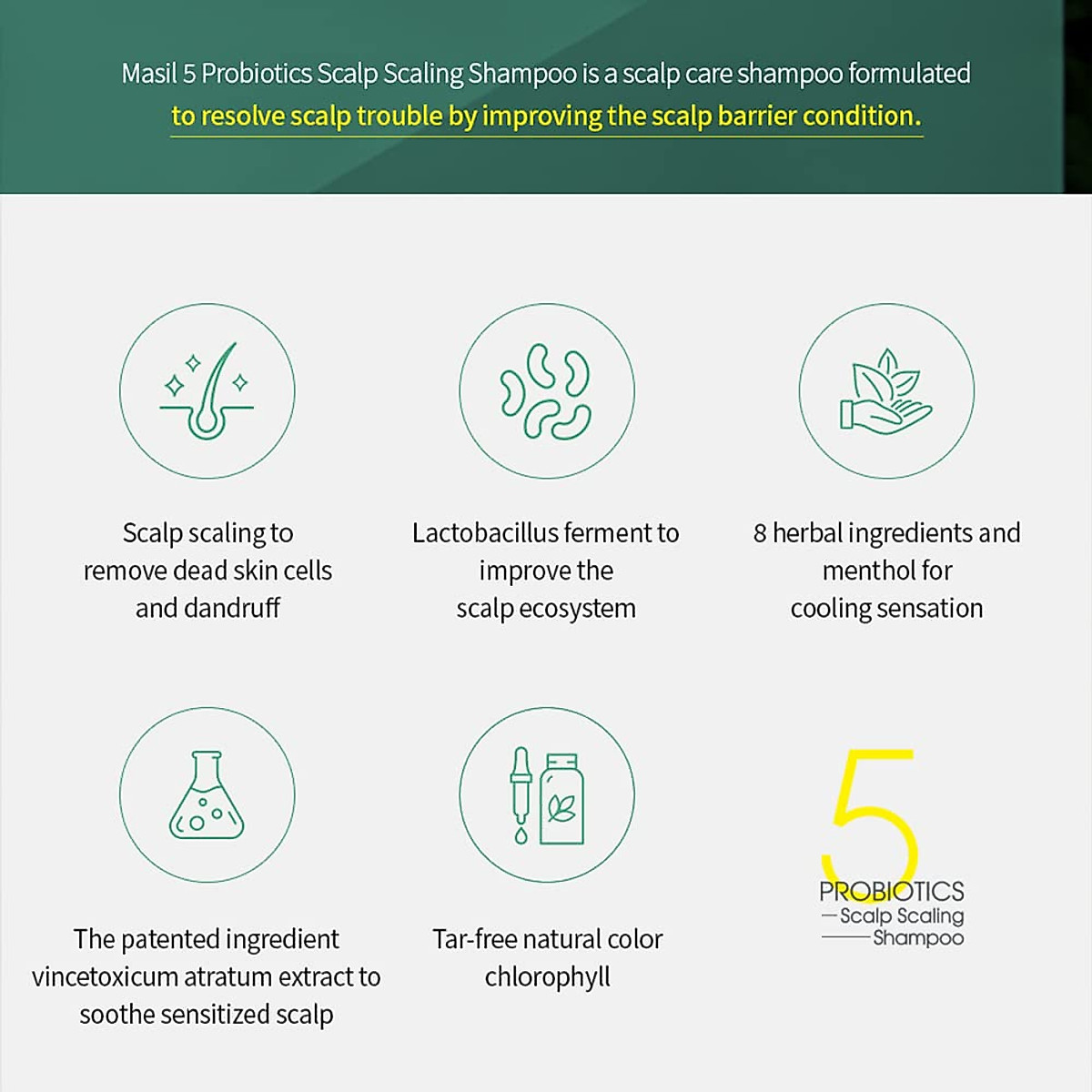 Masil Shampoo for Damaged Hair & Loss, Weakened Scalp Scaling, CMC Shampoo for Bouncy Hair, Travel Size, 5.1 Fl Oz