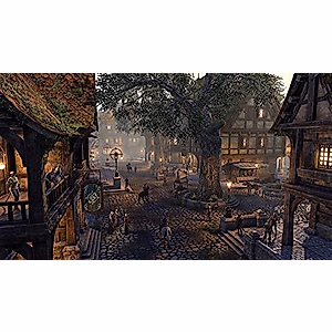 The Elder Scrolls Online Collection: Blackwood (PS4)