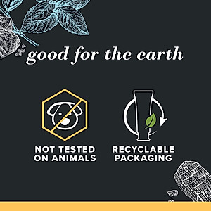 Burt's Bees Toothpaste, Natural Flavor, Charcoal with Fluoride Toothpaste, Mountain Mint, 3 x 4.7oz