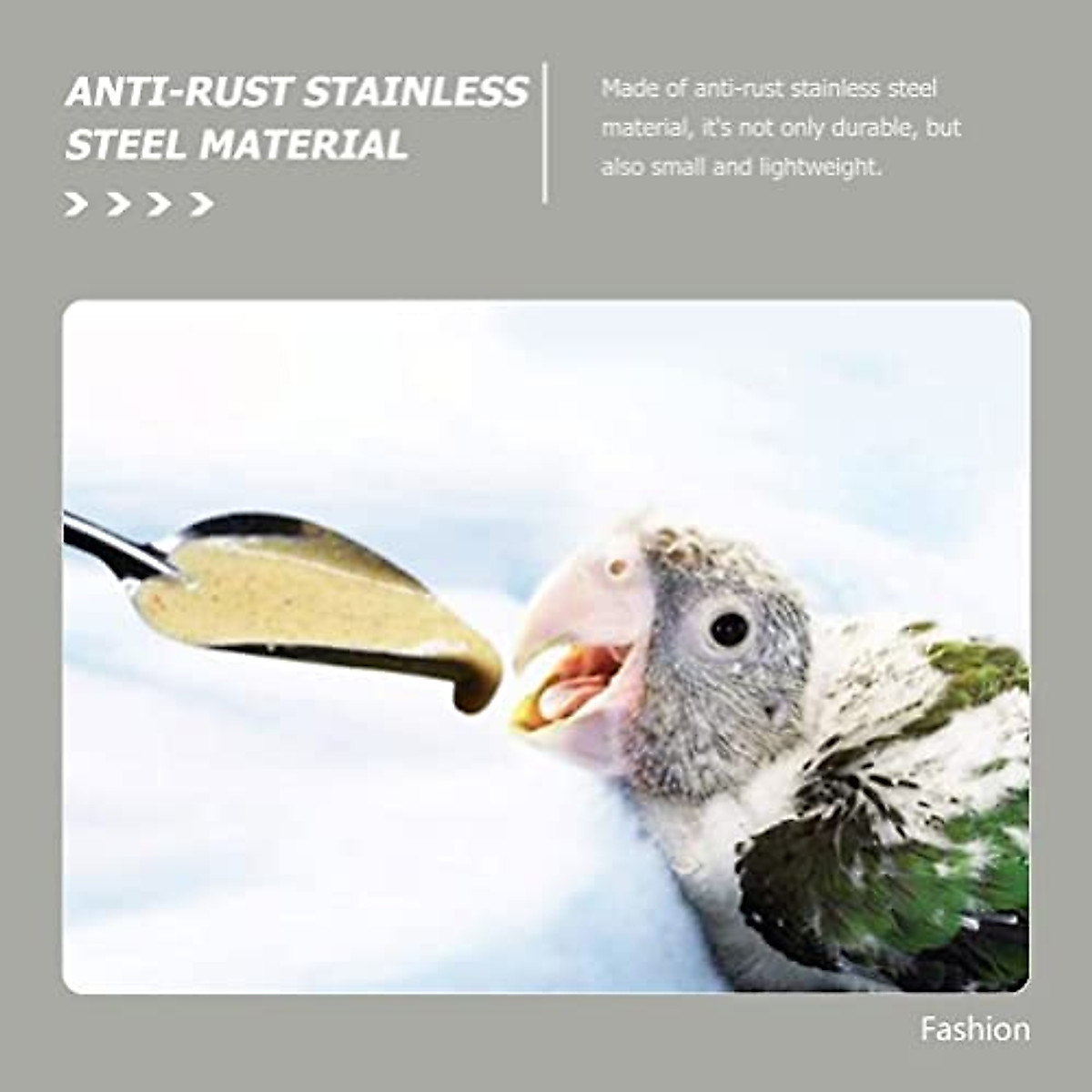 Hemoton 4.7inch Bird Stainless Steel Feeding Spoon, 6Pcs Special Bird Feeding Scoop Spoons, Hand Feeding Spoons for Peony Cockatiel Parrot