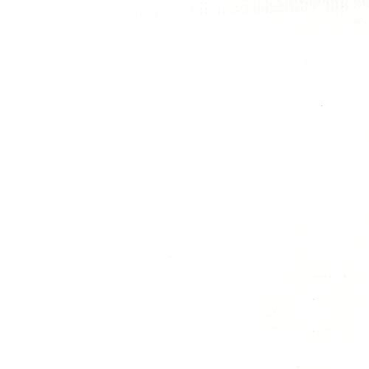 Liquitex Professional Wide Paint Marker, Titanium White