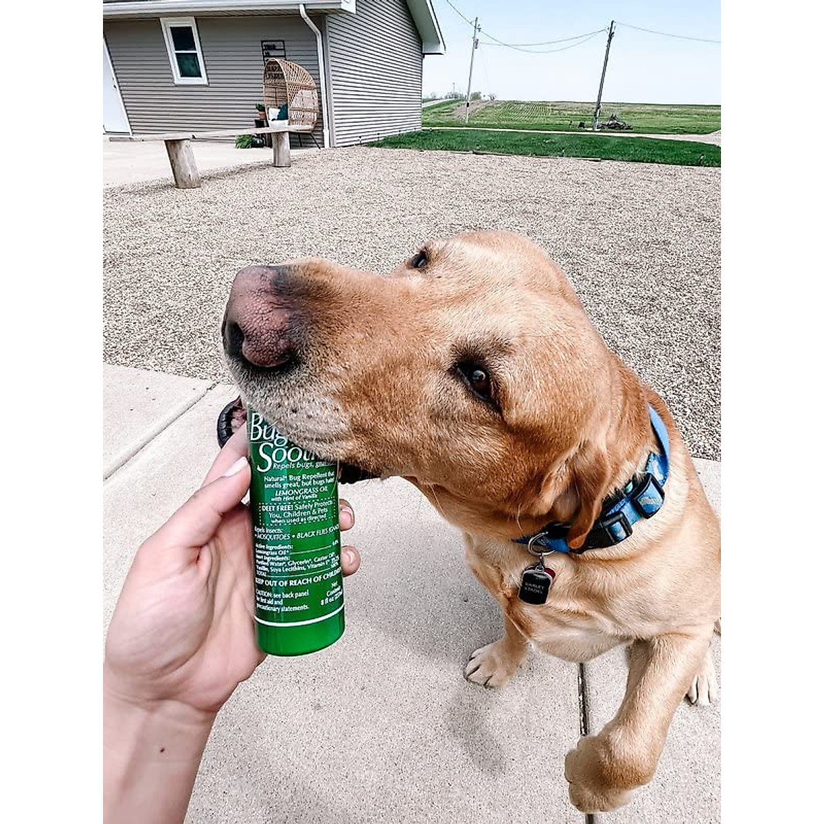 Bug Soother Spray (2, 8 oz) - Natural Insect, Gnat and Mosquito Repellent & Deterrent - DEET-Free - Safe Bug Spray for Adults, Kids, Pets, & Environment - Made in USA - Includes 1 oz. Travel Size