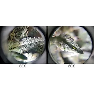 Jiusion Portable Lighted LED Illuminated Jewelry Magnifier 30X 60X Wearable Handheld Dual Lens Eye Loupe Magnifying Glasses Micro Microscope with Keychain and Lanyard