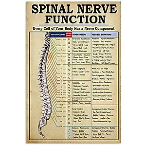 HOUVSSEN Chiropractor Spinal Nerve Function , Celebration Vintage Courtyard Restaurant Store Signs Posters Retro Bar Pub Garage Novelty Funny Metal Tin Art Wall Decor 8x12 Inch