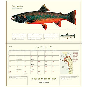 Trout of North America Wall Calendar 2021