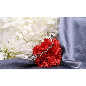 Dazzlingrock Collection 0.20 Carat (ctw) Round Black Diamond & White Diamond Swirl Infinity Tennis Link Bracelet for Women in 925 Sterling Silver