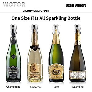 WOTOR 3 Pack Champagne Stoppers with Stainless Steel Champagne Bottle Stoppers with Food Grade Silicone Reusable Champagne Cork, Saver Suitable for Champagne, Cava, Prosecco and Sparkling Wine（Silver）