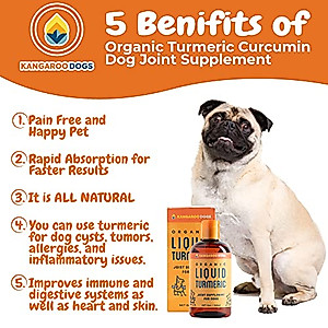 Kangaroo Dogs Organic Turmeric Curcumin Dog Joint Supplement - Liquid for Faster and Better Absorption Natural Dog Joint Supplement Liquid (8 oz)