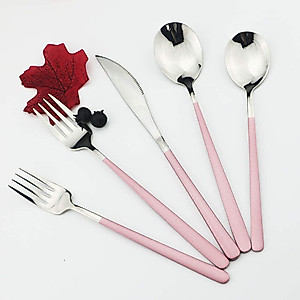 JASHII 20-Piece SUS304 Stainless Steel Flatware Set, Mirror Polishing Dinnerware Set Service for 4, Knife/Fork/Spoon/Dessert Spoon/Dessert Fork (Pink silver)