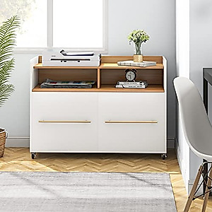 LITTLE TREE 2 Drawer File Cabinet Rolling Filing Cabinets with Wheels, Lateral File Cabinet for Letter Size, Printer Stand and Open Storage Shelves for Home Office, White