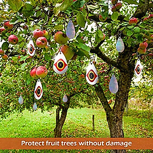 Vactas 2021 Bird Reflector Double Sided Design Bird Reflective Devices with Owl Eye for House Windows Garden Set of 5