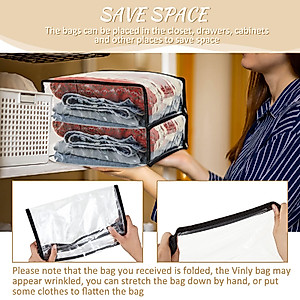Riakrum 20 Pieces Clear Vinyl Zippered Storage Bags 15 x 11 x 4 Inch Sweater Storage Bags Plastic Bed Sheet Organizer for Blanket Closet Clothing Linen Sweater Clothes Pillow