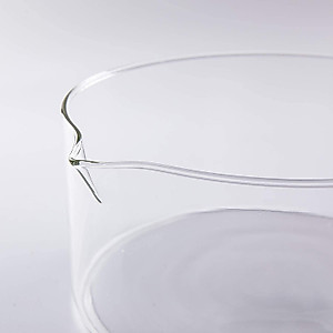 JRLGD 6Pcs Crystallizing Dish - 100mm OD, Borosilicate Glass Evaporation Dish with Spout