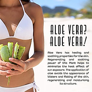 Pure Aloe Vera Gel For Face & Dry Skin, Sunburn Relief, Aloe Vera Gel for Skin Moisturizer Aloe Vera Gel from Aloe Vera Plant Organic Aloe Vera Gel for Hair Aloe Vera Oil Aloe Gel 12 oz