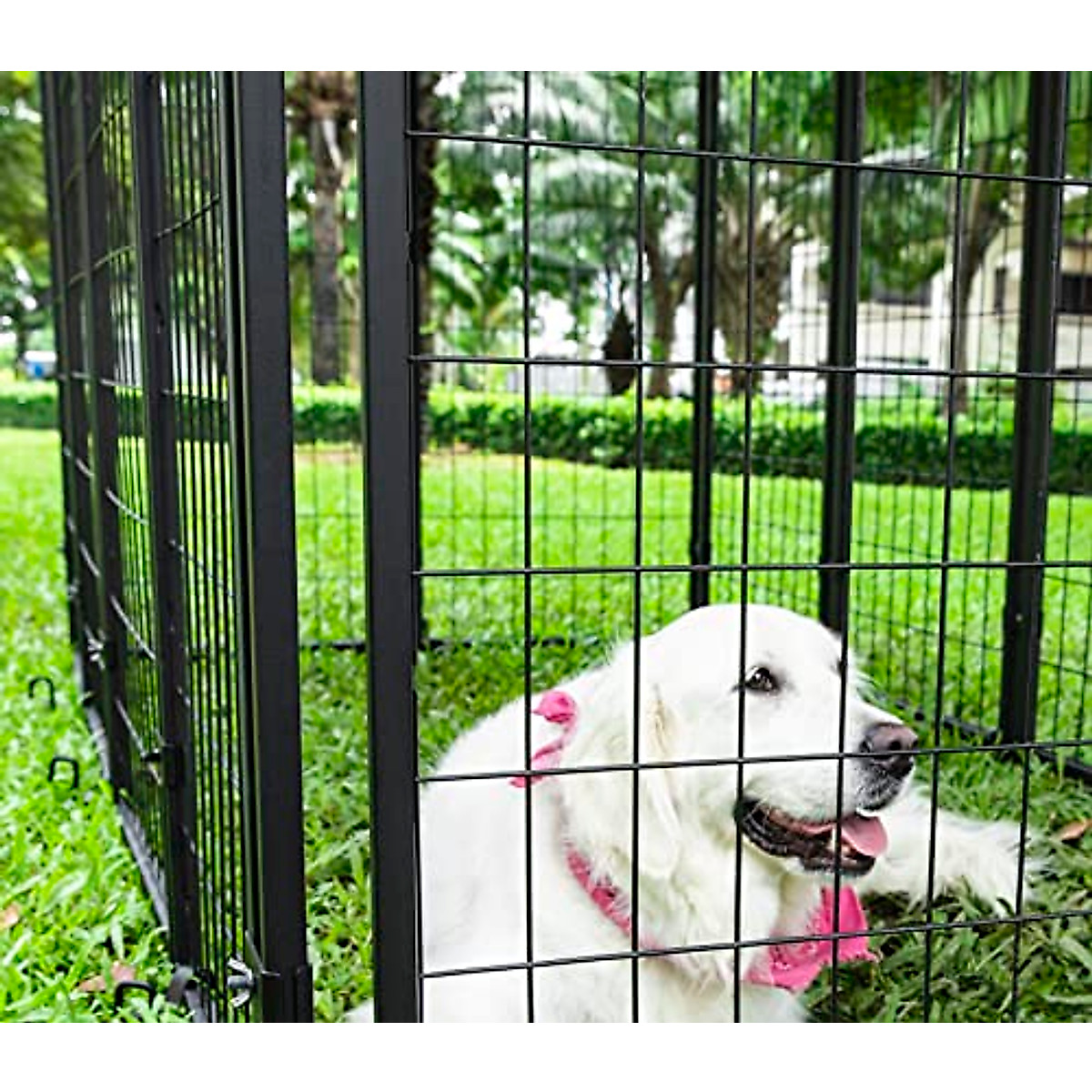 Olympia Tools 4x4x6 Dog Kennel - Outdoor Dog Kennel Small with UV Protection Waterproof Cover, Welded Wire Dog Kennels - Ideal for Dog, Pet Cage, Yard Wire Fence, Patio Crates, Black (90-542)