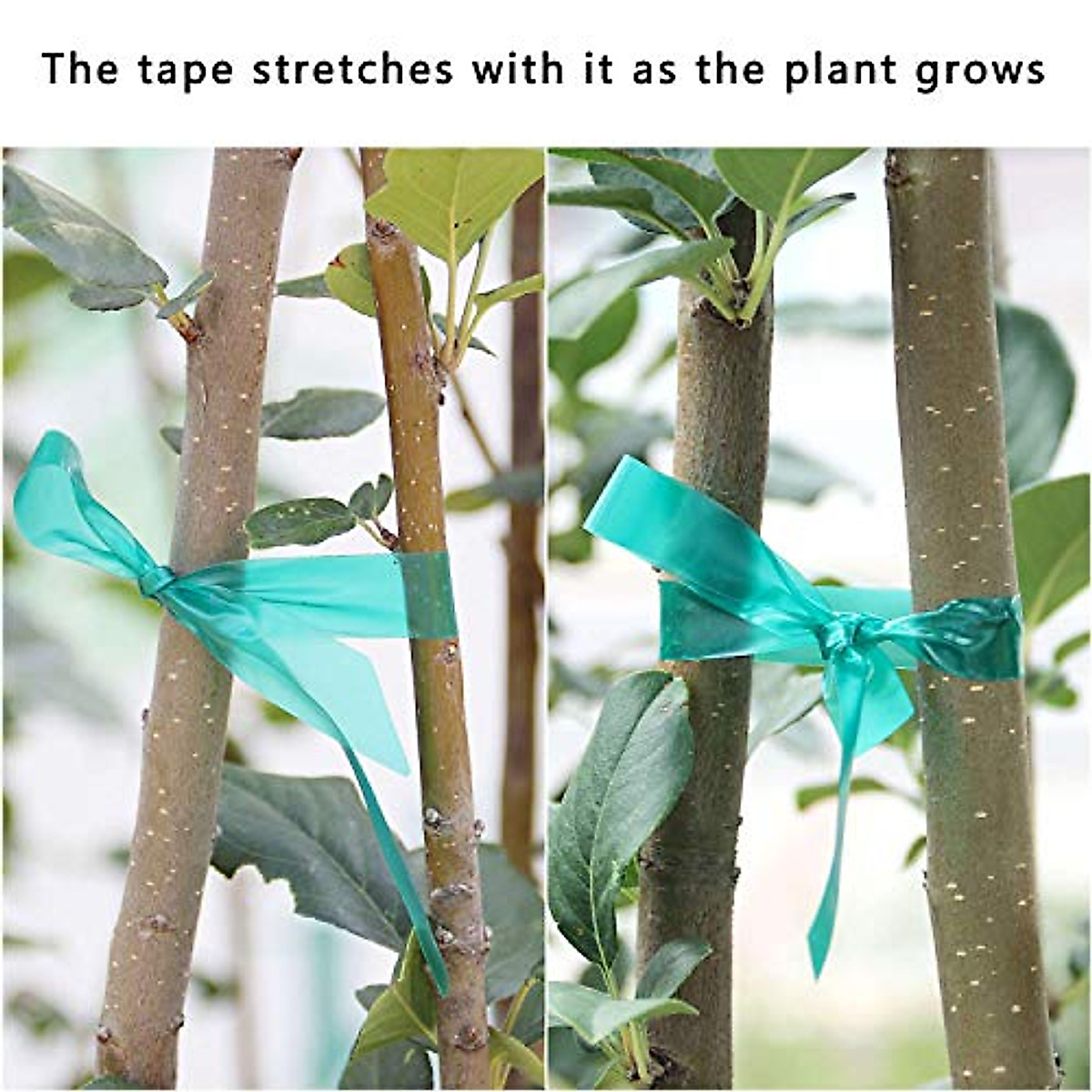 Easytle Stretch Tie Tape Roll, 1/2" 150ft Garden Tie Tape, Thick Sturdy Plant Ribbon Garden Green Vinyl Stake Gardening Tools for Indoor Outdoor Patio Plant Use
