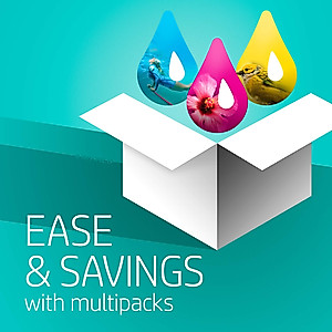 HP 901 | 2 Ink Cartridges | Black, Tri-color | Works with HP OfficeJet 4500, J4500 series, J4680 | CC653AN, CC656AN