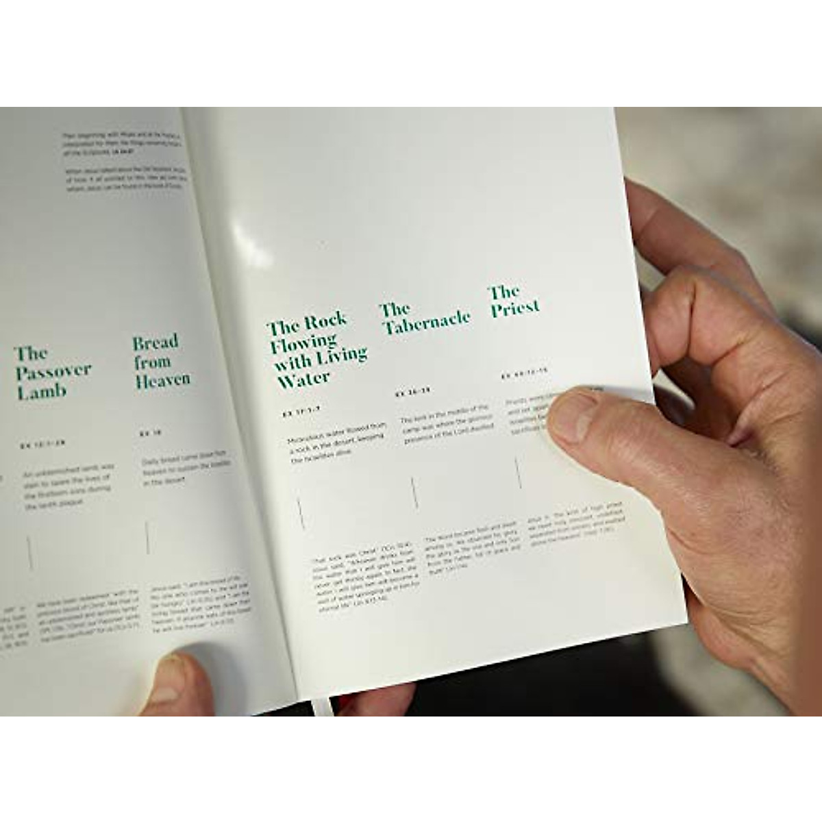 CSB He Reads Truth Bible, Black LeatherTouch, Black Letter, Wide Margins, Journaling Space, Illustrations, Reading Plans, Single-Column, Easy-to-Read Bible Serif Type