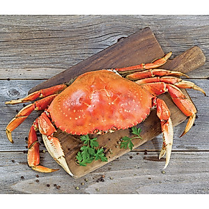 Maine Man Seafood Crab Mallets, Natural Hardwood, 7.75-Inches, Set of 4