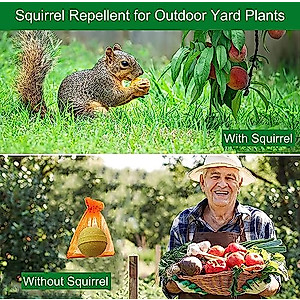 Squirrel Repellent 12 Pack, Chipmunk Repellent Outdoor, Natural Squirrel Repellent & Mint Squirrel Deterrent for Bird Feeders/Garden/Attic,Safe Around Kid & Pets, Keep Squirrel Away for Plants