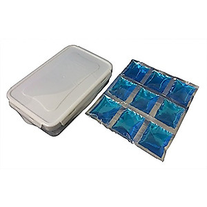 Nicole Miller 11" Insulated Lunch Box Portable Cooler Bag - Signature Red