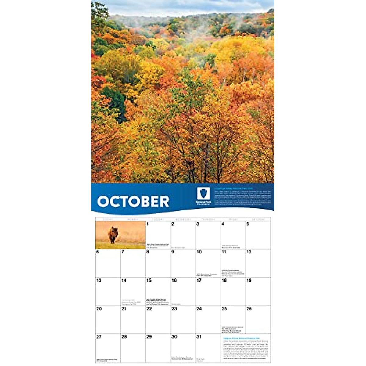 2024 National Park Foundation Wall Calendar: 12-Month Nature Calendar & Photography Collection (Monthly Calendar)