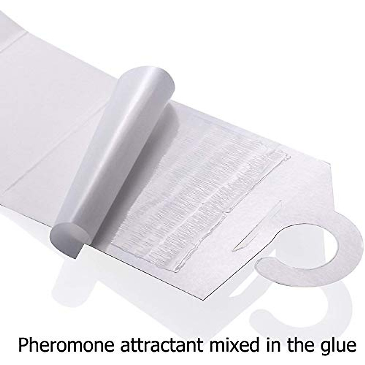 Faicuk Clothes Moth Traps with Pheromone Attractant for Closet and Carpet (6 Pack)