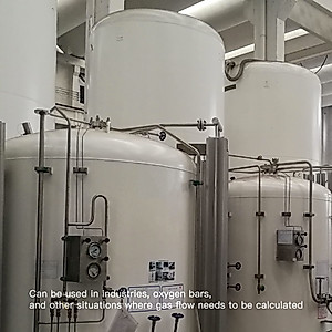 CNBTR 100-1000ml/min Oxygen Air Gas Flowmeter with Control Valve for Oxygen Adjustable Gas Flowmeter with Copper Connector for Oxygen Air Gas Conectrator