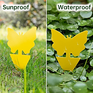 ALLRoad Fungus Gnat Sticky Traps for Plant 54 Pcs Fruit Fly Trap Yellow Sticky Gnat Killer for Indoor Outdoor Catch Bug, Whitefly, Mosquitos, Flying Insects