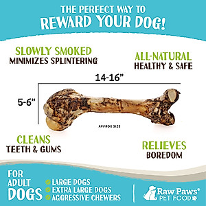 Raw Paws Monster Beef Femur Bones for Dogs, 14-inch, 1-ct - Packed in The USA - Smoked Dog Bones for Large Dogs, Natural Dog Bones for Aggressive Chewers, Giant Dog Bone, Huge Dog Bone