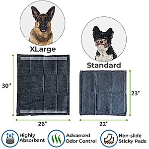 Alpha Paw - Odor Eliminating Pee Pads for Dogs, Extra Thick Disposable Leak-Proof Dog Pads, Quick-Dry, Non-Slip Backing, With Pheromones To Attract Your Dog