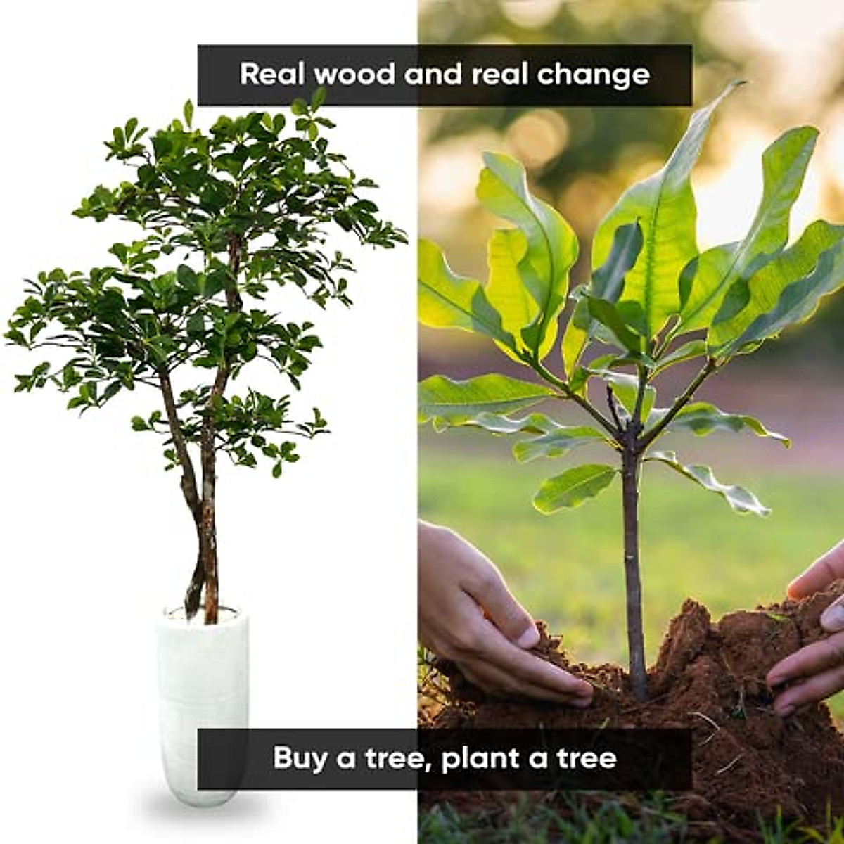 Hand-Made 5' Black Olive Leaf Artificial Tree with Ethically Sourced Real Wood Trunks | Green | Cypress & Alabaster