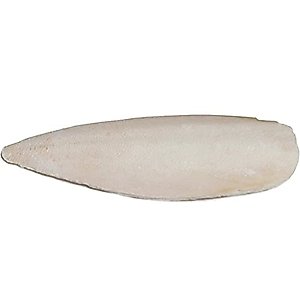 4-inch Cuttlebone (Bulk) / 25pc box