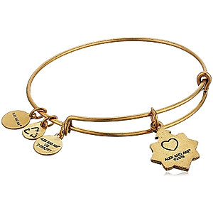 Alex and Ani Womens Because I Love You A18BILY14RG Friend Charm Bangle Bracelet, Rafaelian Gold, Expandable