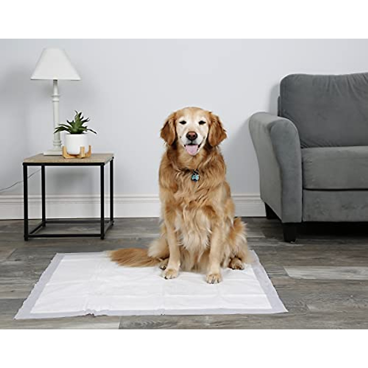 Hartz Home Protection Odor Eliminating Scented Dog Pads, Super Absorbent & Won’t Leak, Lavender Scent, 3XL Pads, 30 Count, Packaging May Vary