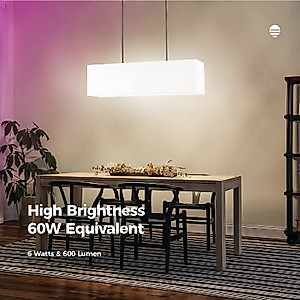 Smart Candelabra LED Bulbs, E12 Smart Bulbs Compatible with Alexa/Google Home, 6W (60W Equivalent) 600LM, Smart Chandelier Light Bulbs, No Hub Required, 2.4GHz WiFi Only, 4 Pack