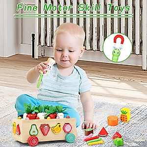 Lemofix Montessori Toys for 1 2 3 Year Old,Toddler Toys for Baby Boys Girls,Wooden Carrot Harvest Shape Sorting,Educational Toys for 1 2 3 Year Old Boys Girls Birthday Gifts