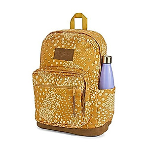 JanSport Right Pack Expressions Backpack - School, Work, Travel, or Laptop Bookbag with Water Bottle Pocket, Patchwork Prairie
