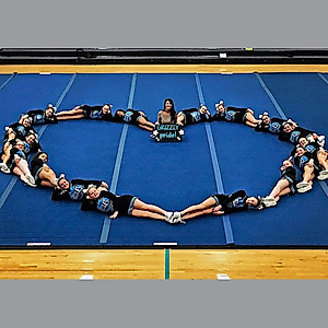 Indoor Gymnastics Tracks Exercise Mat Roll Out Cheerleading Fitness Mats with a Grippy Gym Carpet Top Sturdy Foam Wrestling Mats for MMA, Gymnastics (Size : 3m*1.83m*4cm)