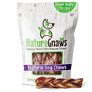 Nature Gnaws Braided Bully Sticks for Dogs - Premium Natural Beef Dental Bones - Long Lasting Dog Chew Treats for Aggressive Chewers - Rawhide Free 10 Count (Pack of 1)