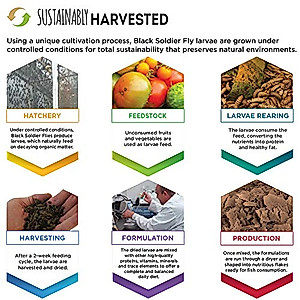 Fluval Bug Bites Tropical Fish Food, Flakes for Small to Medium Sized Fish, 3.17 oz, A7332, Brown