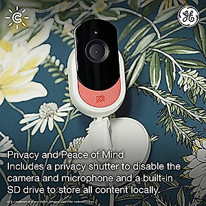 Indoor Camera + A19 FC