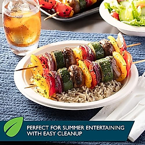 Hefty ECOSAVE Compostable Paper Plates, 8-3/4 Inch, 22 Count