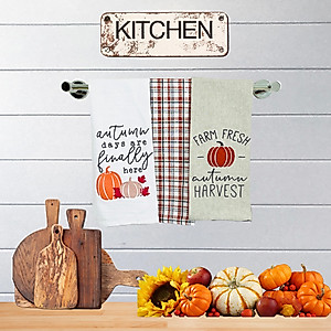 Serafina Home Farmhouse Kitchen Dish Towels: Autumn Days are Finally Here, Enjoy! Pumpkin Theme (Design 4)
