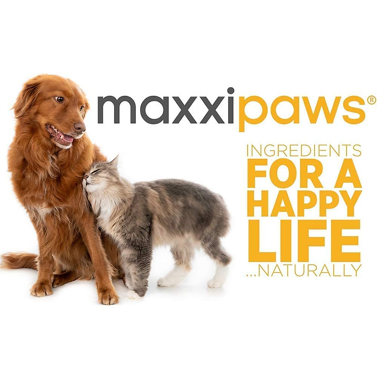 maxxipaws UTI Calm Bundle – maxxiUtract Urinary and Bladder Support for Dogs & maxxicalm Canine Calming Supplement
